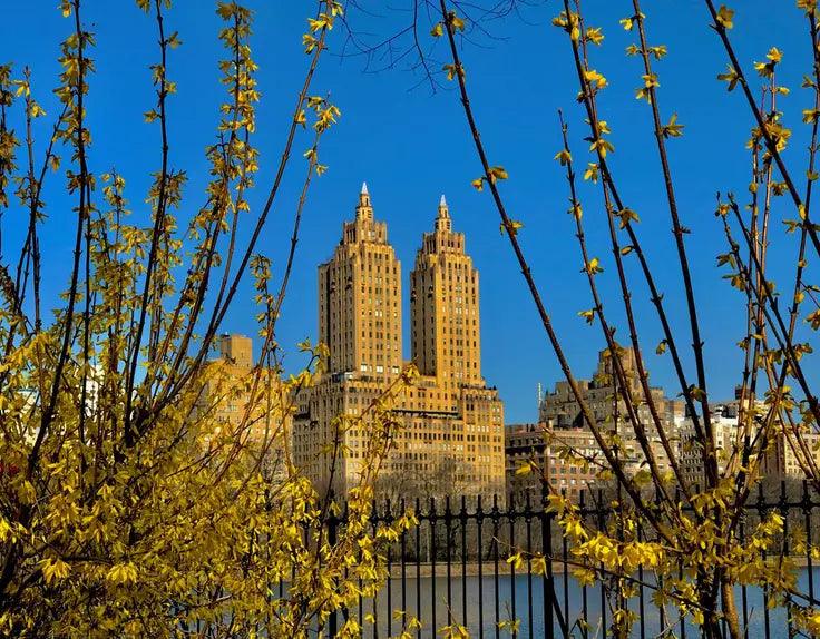 Unveiling the Timeless Elegance of Art Deco Architecture