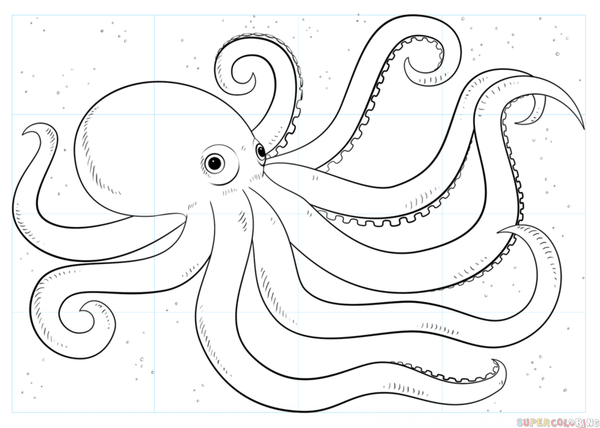 Mastering Octopus Drawing: Step-by-Step Guide for Beginners