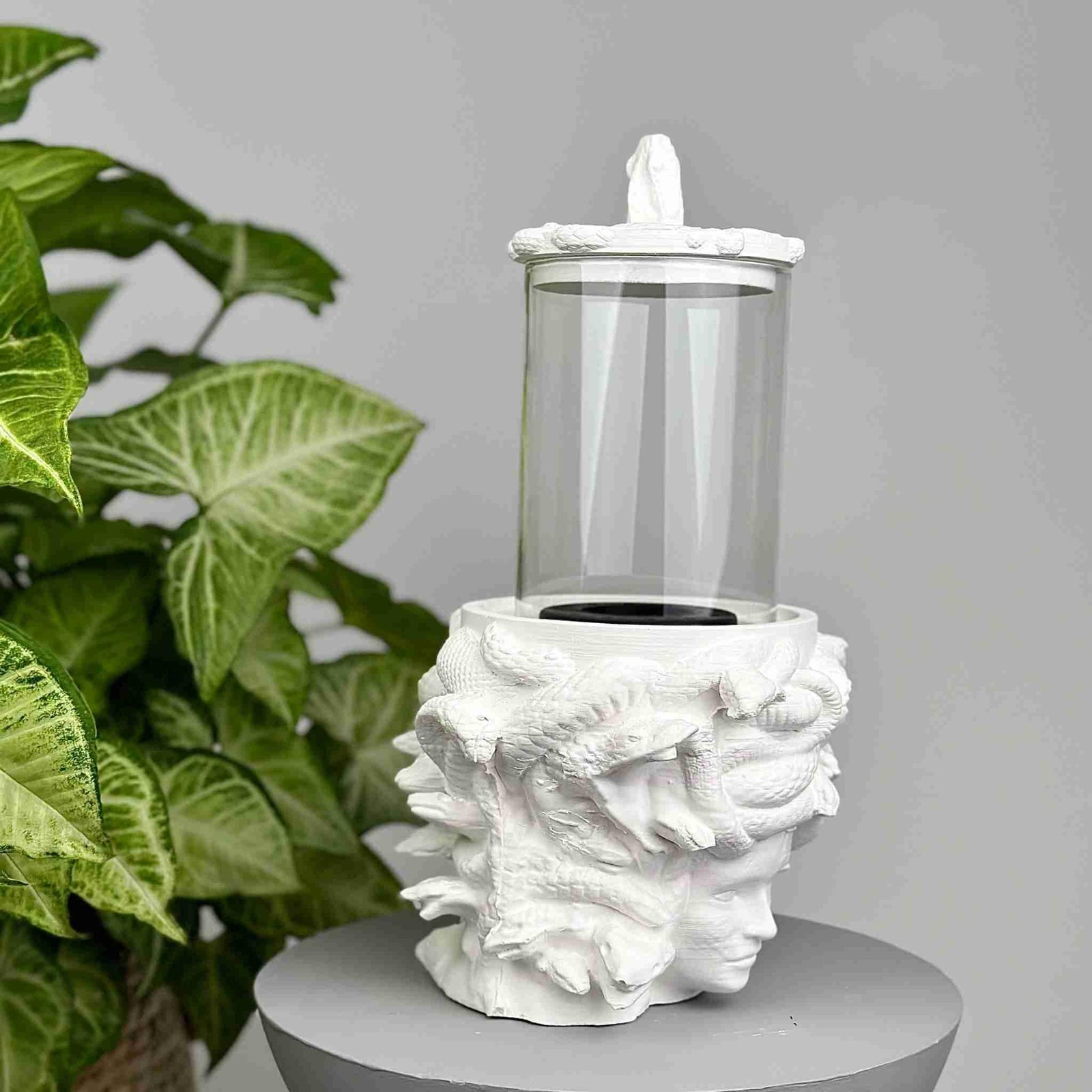 Buy Medusa Bioethanol Fireplace | Artchi